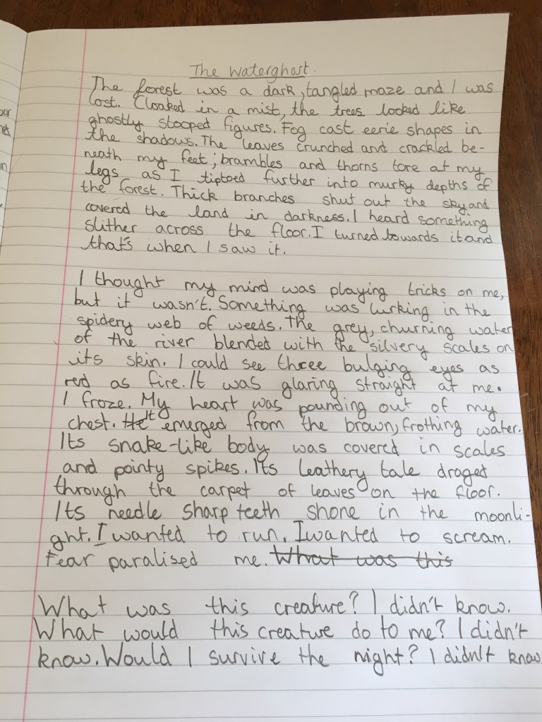 Visualisation and Art – Literacy with Miss P