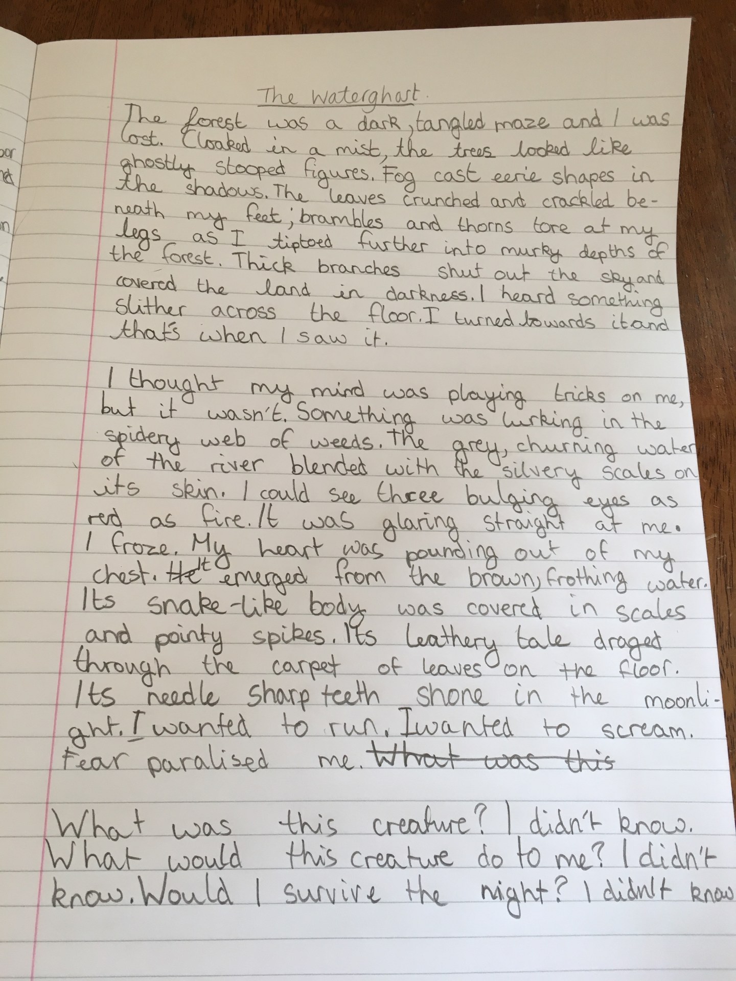 Visualisation and Art – Literacy with Miss P