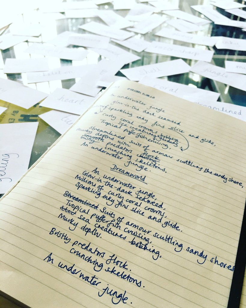 #3 Playing with Words (Poetry!) – Literacy with Miss P